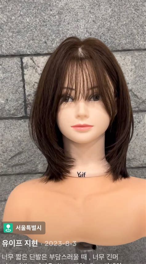 단발 레이어드컷 지식in