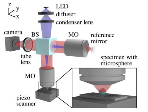 Schematic Representation Of The Microsphere Assisted Linnik Download Scientific Diagram