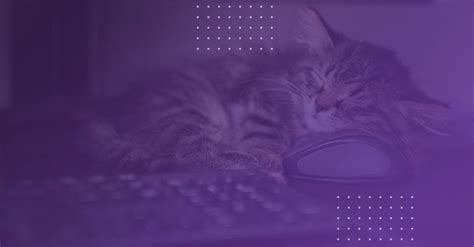 Elixir For Rubyists Cat Facts In Discord Part 3