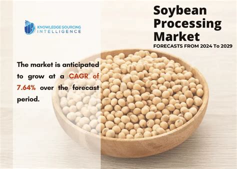 Soybean Processing Market Size Share Report 2024 2029