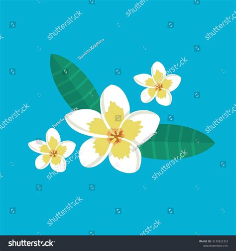 Nicaragua Flower Drawings Sacuanjoche Royalty Free Images Stock