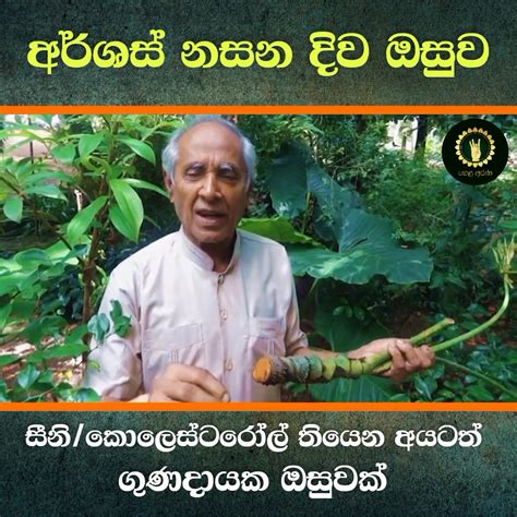 හෙළ අරණ Hela Arana 🔴 නිල් මැණික වසර තුන් සීයකට පමණ ප්‍රථම ශ්‍රී ලංකාවෙන් සොයගන්නා ලද මේ