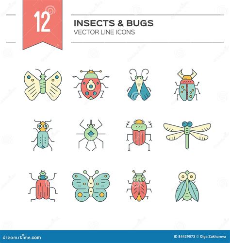 Bug Linear Icons Stock Vector Illustration Of Ladybug 84439073