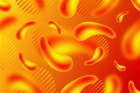 벡터 현실적인 격리 된 추상 원활한 패턴 장식와 오렌지 액체와 용암 램프 모양입니다 행복 한가 개념입니다 가을에 대한 스톡 벡터 아트 및 기타 이미지 Istock