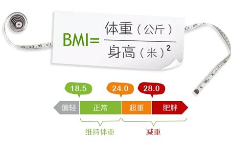 瘦身攻略：科学健康减重全解析