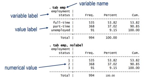 Stata 1d Basics Karteikarten Quizlet
