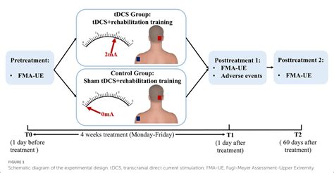 Figure 1 From Effects Of Cerebellar Transcranial Direct Current Stimulation On Rehabilitation Of