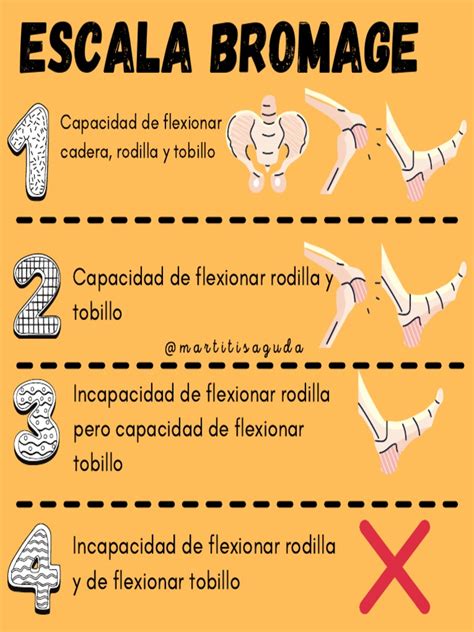 Escala De Bromage Images And Photos Finder