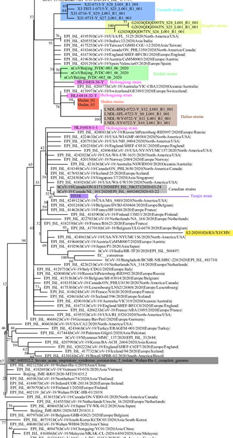 Phylogenetic Tree Based On The Full Length Genome Sequences Of The