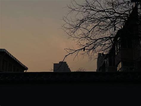 20221124 一具无名尸 And”一个非人类男朋友 知乎