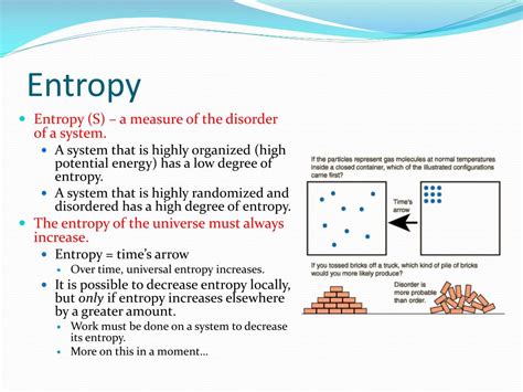 Ppt Entropy And Free Energy Powerpoint Presentation Free Download Id3943123