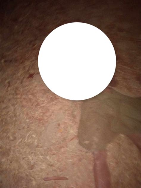 Khit Thit Media ကြို့ပင်ကောက်မြို့နယ်၊ သင်ခရိုင်ရွာတွင်