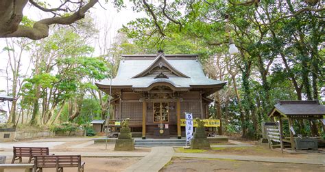 お知らせ NEWSほしいも神社 堀出神社