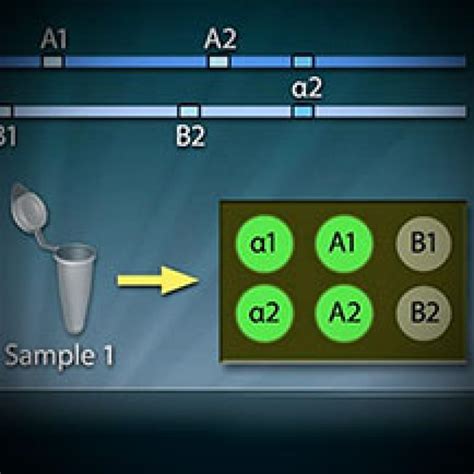 dna sequence assembly