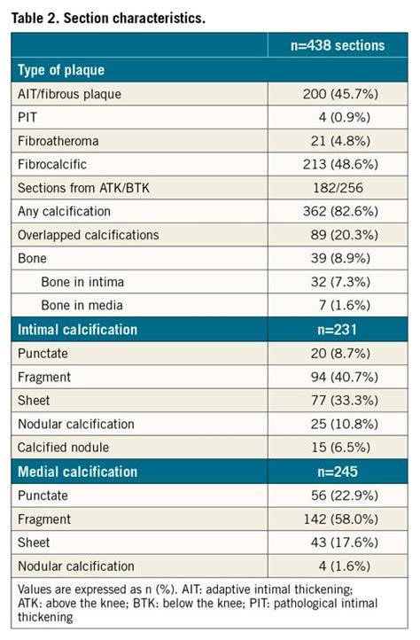 Intravascular Imaging And Histological Correlates Of Medial And Intimal Calcification In