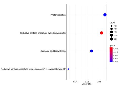 07 Functional Enrichment Analysis Introduction To Rna Seq