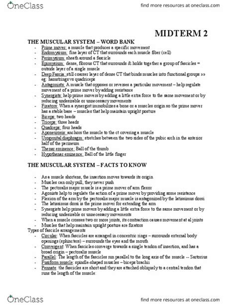 Anp 1106 Midterm Midterm 2 Oneclass