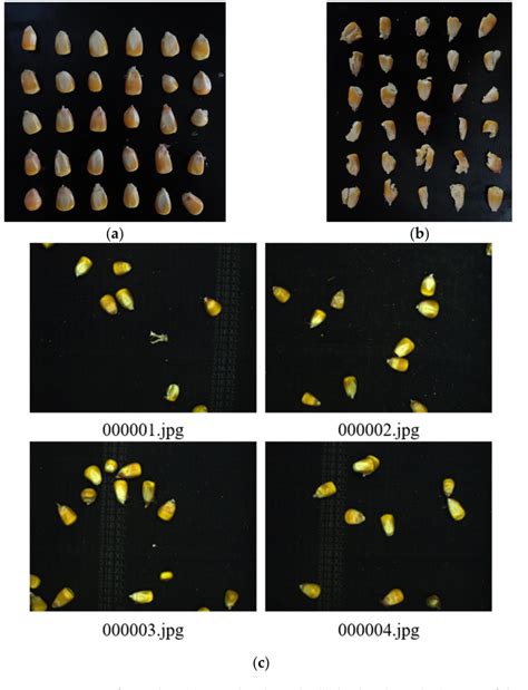 Figure 3 From Design And Experiment Of A Broken Corn Kernel Detection