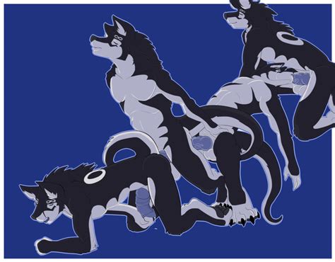 Rule 34 Alaskan Malamute All Fours Anal Anal Sex Anthro Bodily Fluids