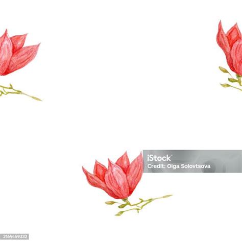 나뭇가지에 분홍색 목련이 있는 수채화 패턴입니다 식물 완벽 한 수채화 인쇄 잎 분홍색 일본 꽃 직물 벽지 0명에 대한 스톡 벡터