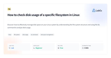 How To Check Disk Usage Of A Specific Filesystem In Linux Labex