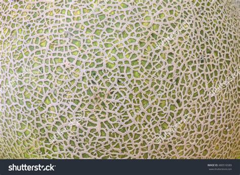 Skin Of Cantaloupe Melon For Texture And Background Ad Affiliate