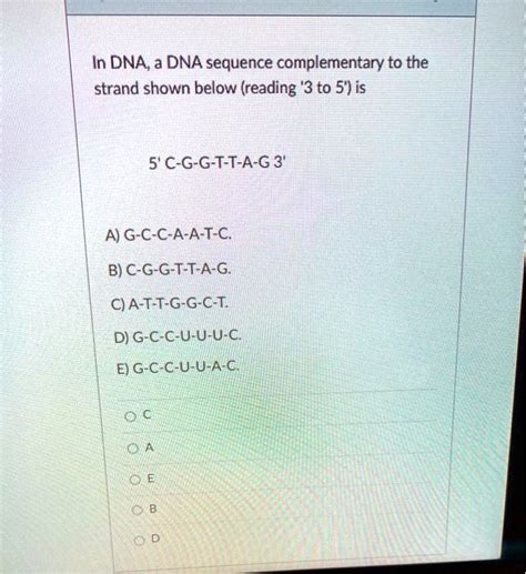 Solved In Dna A Dna Sequence Complementary To The Strand Shown Below