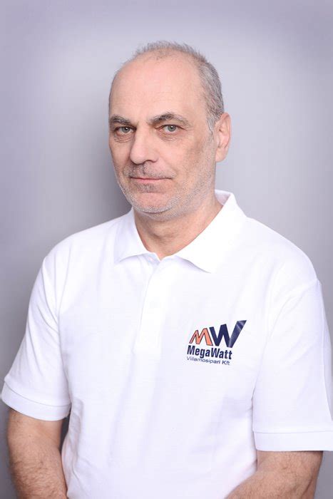 Lilli József Megawatt Kft