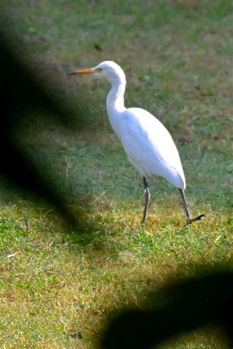 Ayushmaan Soni On Linkedin Hey Yo Can You Guys Get Me A New Job With The Help Of Your