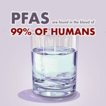 99 Per Cent Of Humans Have PFAS Chemicals In Their Blood ChemSec