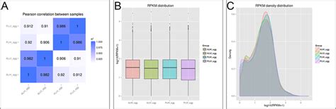 bioinformatic analyses of rna seq data a pearson correlation between
