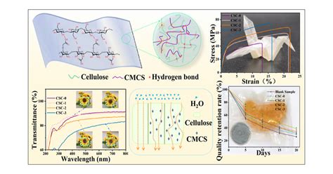 Robust Cellulose Carboxymethyl Chitosan Composite Films With High Transparency And Antibacterial