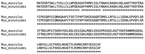 Alignment Of A Nucleic Acid Sequence Of The Genomic Region And A Download Scientific Diagram