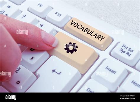 Text Showing Inspiration Vocabulary Word Written On Collection Of