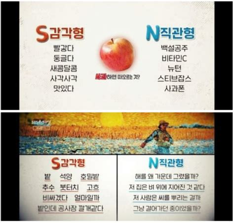 Mbti N과 S 차이 질문 9가지 짤 테스트 탑트렌드