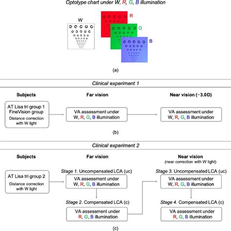 Visual Acuity Assessment A Sequential W R G B Illumination Of The Download Scientific