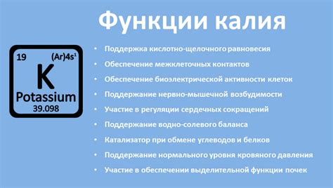 Интернет-проект «Азбука витаминов». Калий