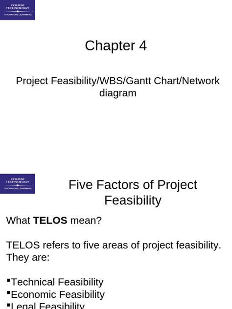 project feasibility pdf net present value