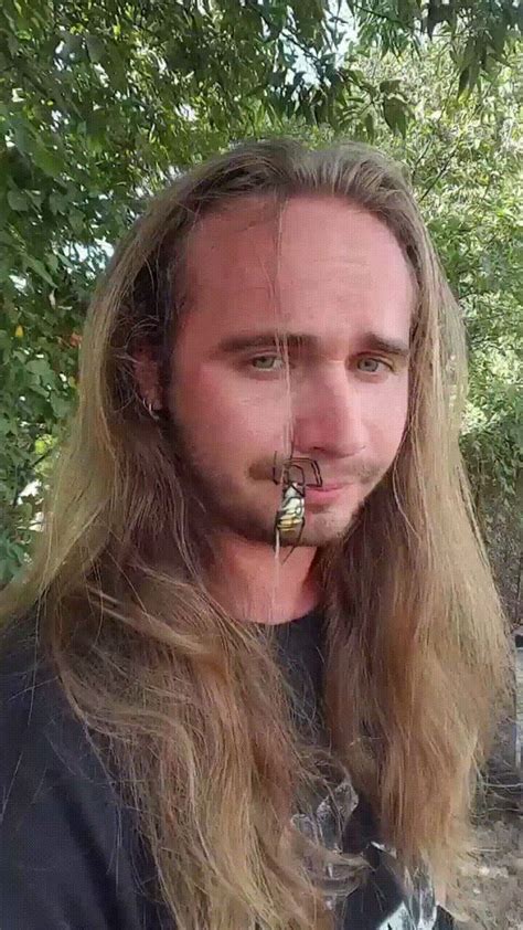 Get A Haircut You Hippie  On Imgur