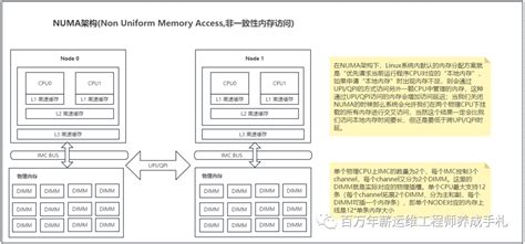 day41 回顾物理内存管理 numa text ro data csdn博客