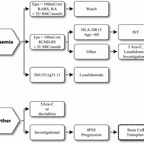 Treatment Algorithm For Low Int 1 Risk Mds Modified From Nccn Download Scientific Diagram