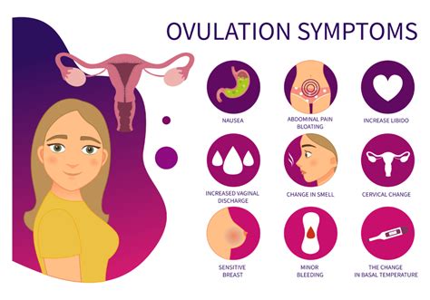 Ovulation Symptoms Forums At Morris Rios Blog