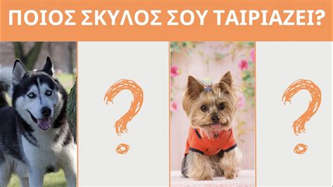 ΚΑΝΕ ΑΥΤΟ ΤΟ ΤΕΣΤ ΚΑΙ ΜΑΘΕ ΠΟΙΟΣ ΣΚΥΛΟΣ ΣΟΥ ΤΑΙΡΙΑΖΕΙ Youtube