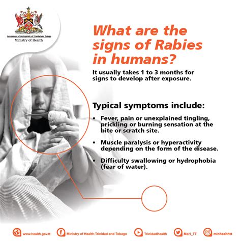 Rabies Ministry Of Agriculture Fisheries