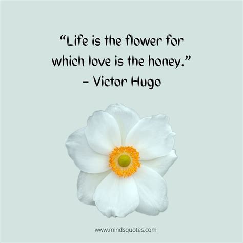Flower Love Quotes