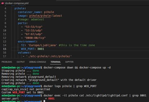 Webport Not Being Applied · Issue 1139 · Pi Holedocker Pi Hole · Github