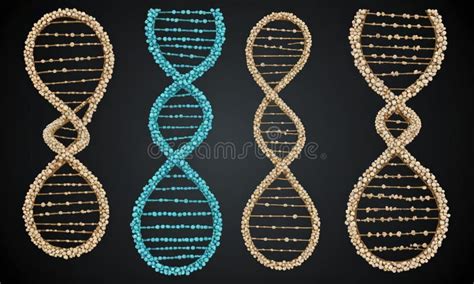 Four Dna Strands Each With Unique Color And Pattern Are Arranged In