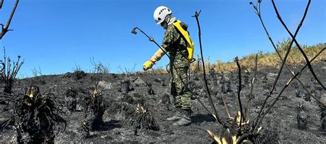 Aún Persisten 17 Incendios En El País Minambiente Zona Cero