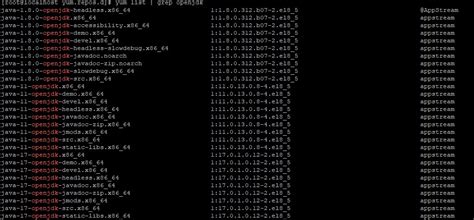 Centos에 Openjdk21 설치 주서브이즈