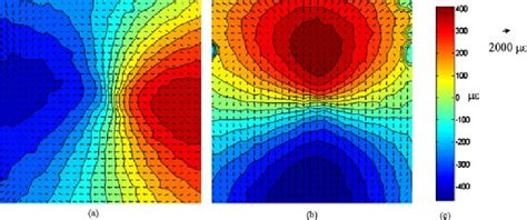 The Surface Strain Field For A The ␦ ␦ X Displacement Gradient